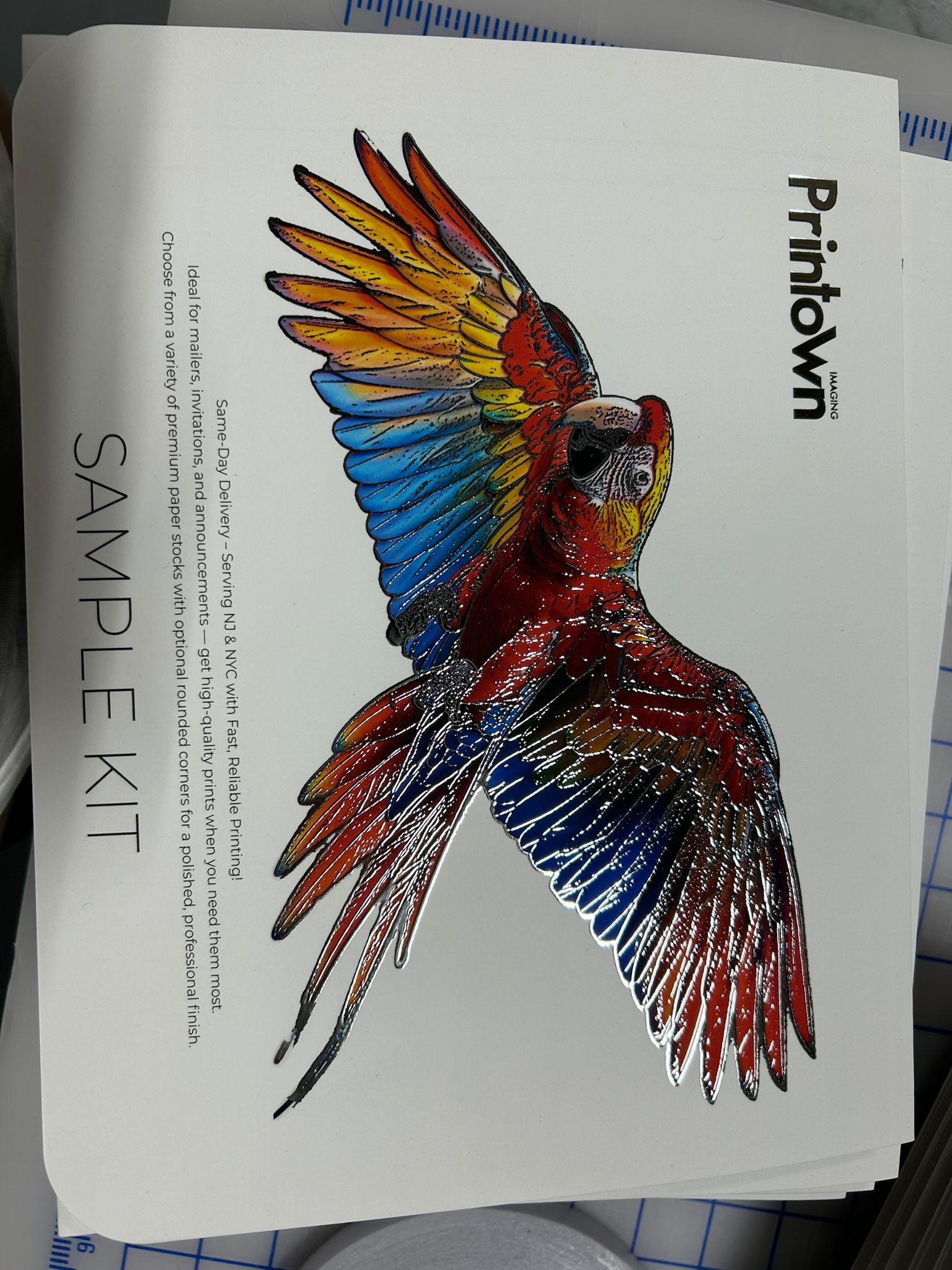 Free Sample Kit - Printown Imaging